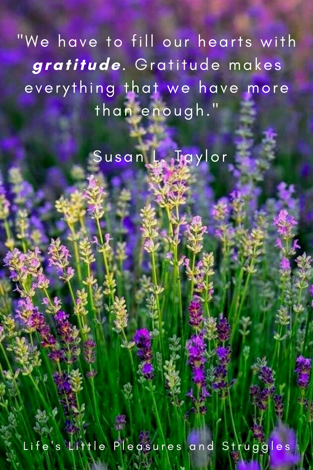 Attitude of Gratitude - Life's Little Pleasures and Struggles